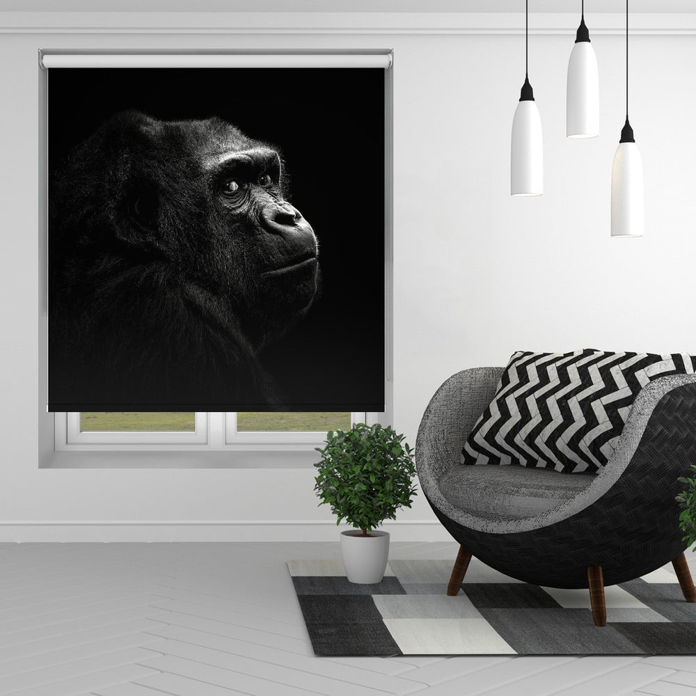 Photo Printed Picture Blinds - Hurricane from Space | Art Fever Blinds