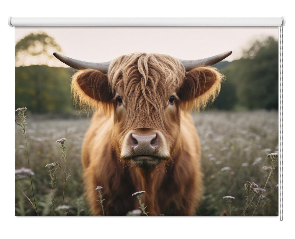 Made to Measure Blackout Window Blinds Highland Cow Printed Picture ...