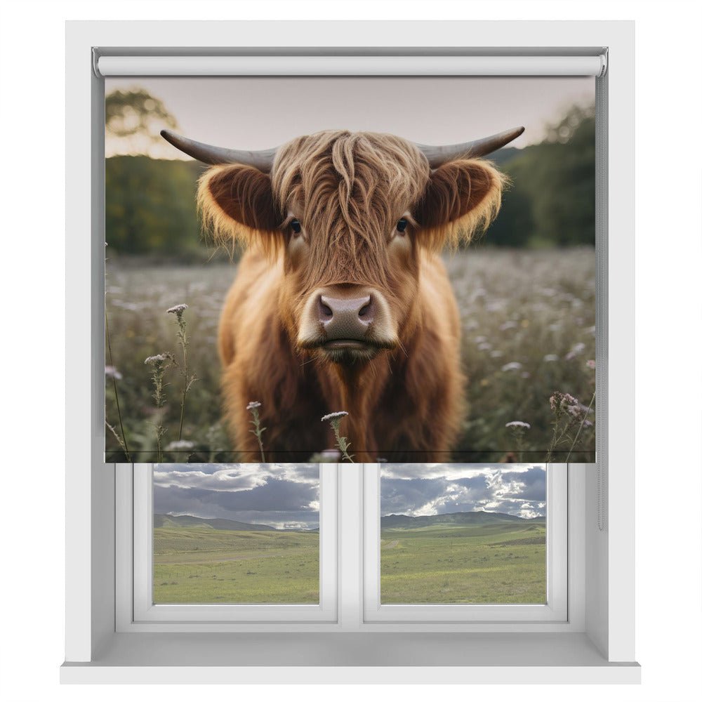 Highland Cow Blinds – Art Fever