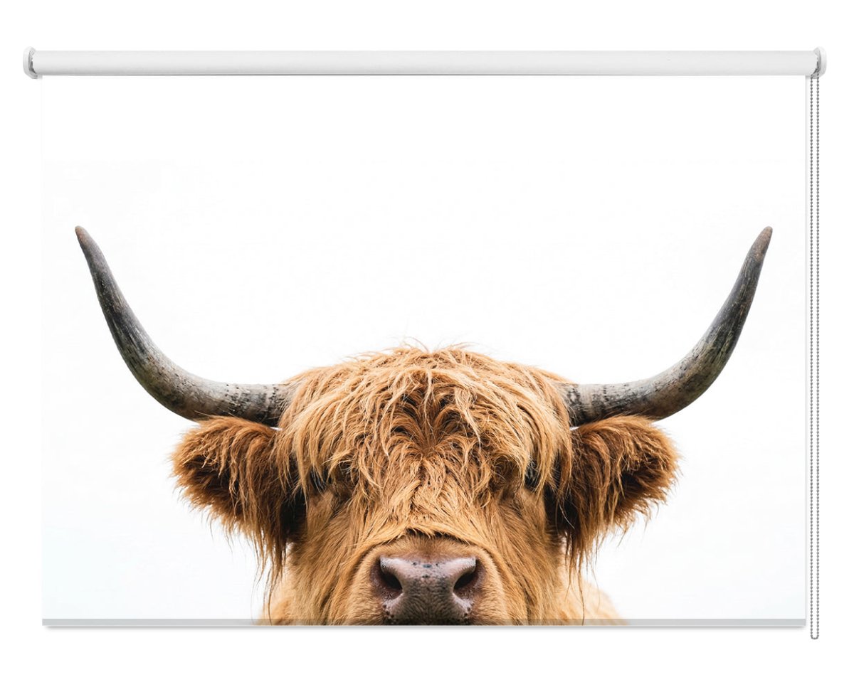 Peeking Highland Cow roller Blind | Photo Printed Window Blinds | Art Fever