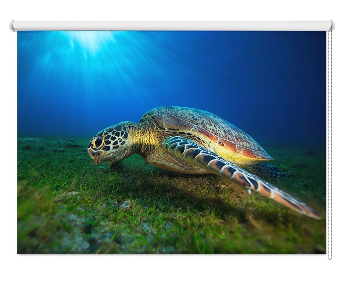 Green Turtle Underwater roller Blind | Photo Printed Window Blinds ...