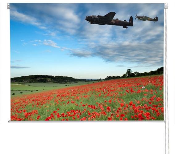 Poppy Roller Blinds – Art Fever