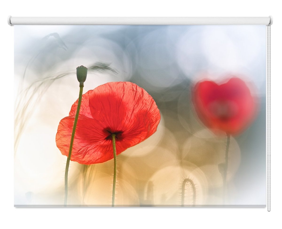 Poppy Roller Blinds – Art Fever