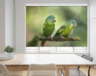 Pair O' Parakeets Roller Blind | Photo Printed Picture Blinds | Art Fever