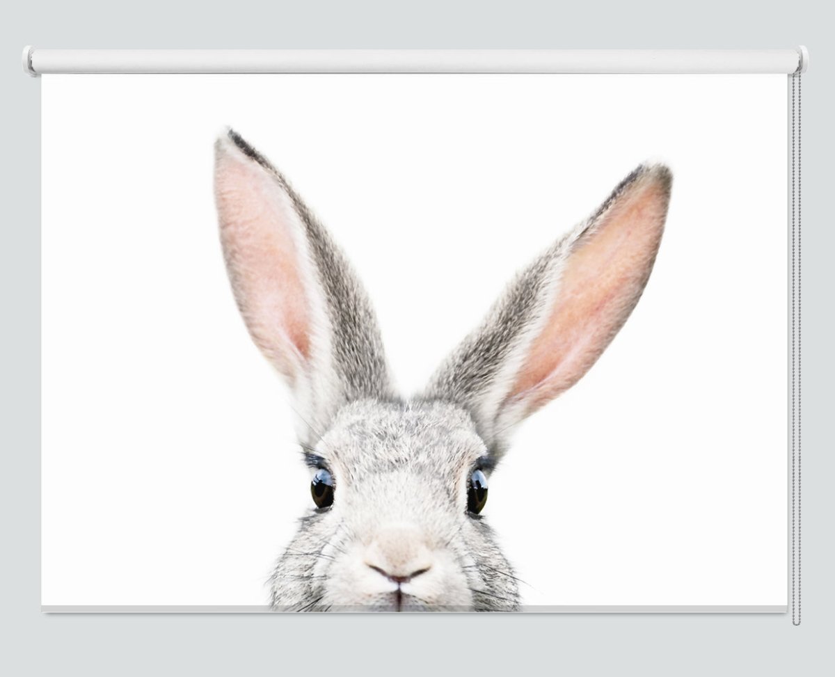 Peeking Bunny roller Blind | Photo Printed Window Blinds | Art Fever