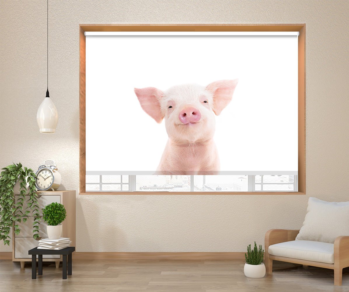 Piglet peeking Animal roller Blind | Printed Blackout Blinds - Photo ...