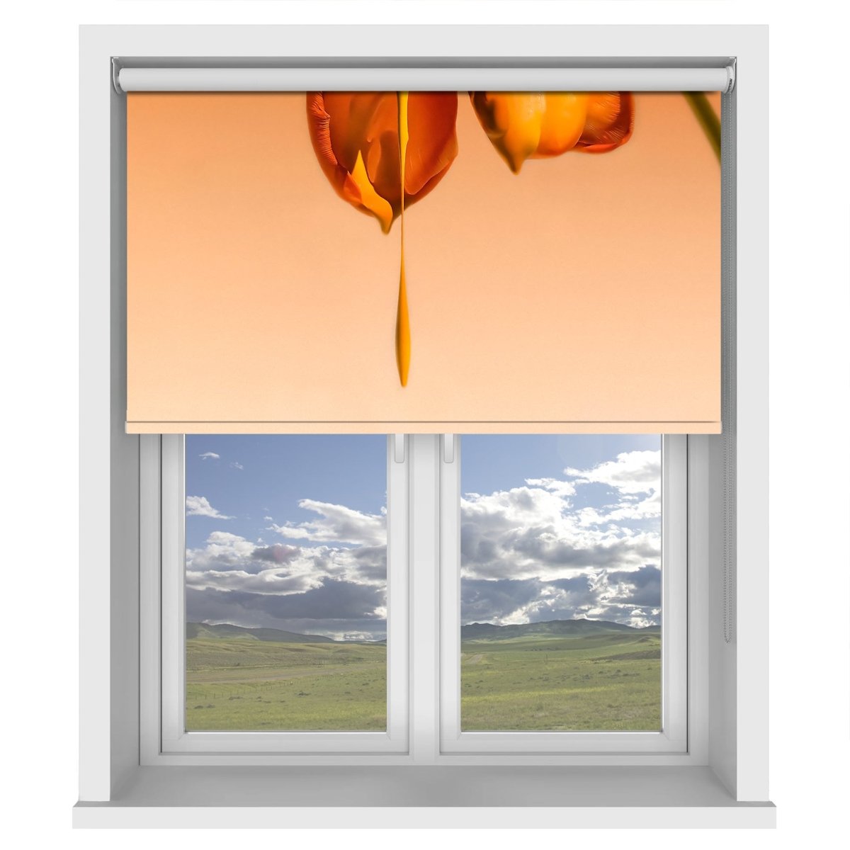Tears of a flower Salvador Dali Style Printed Picture Window Blinds Peach Colour of the year ...
