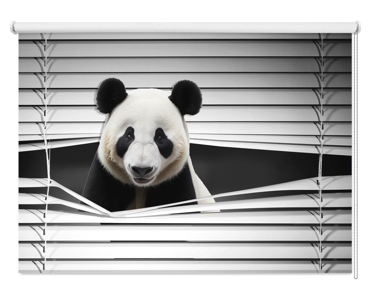 The Panda peeking Animal Blind Printed photo Blinds | Art fever Roller ...