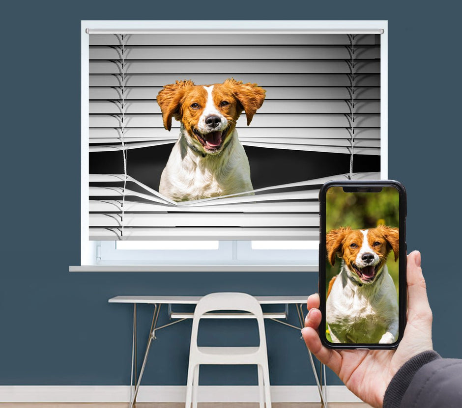 Printed photo Blinds - Printed Picture Blinds | Blackout Roller Blinds ...